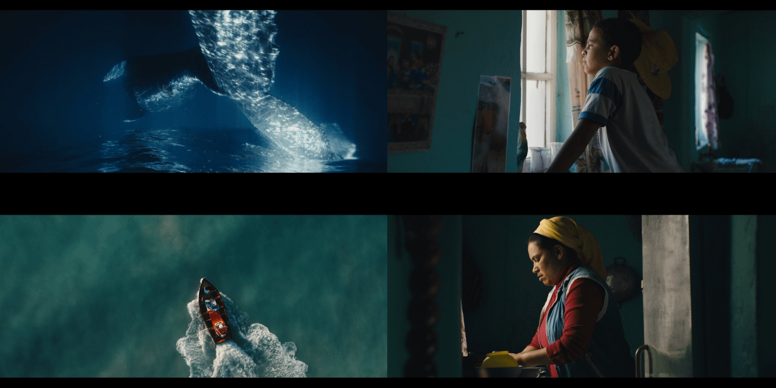 Steve Benjamin Photography | conservationist • photographer • guide